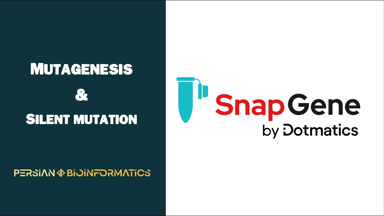 آموزش کار با نرم افزار اسنپ جین 4 - ایجاد انواع جهش ها با استفاده از نرم افزار (Snapgene ...