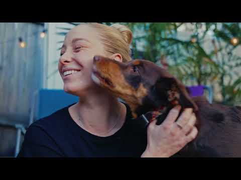 AWLQ - Together for life - Yindi 30s