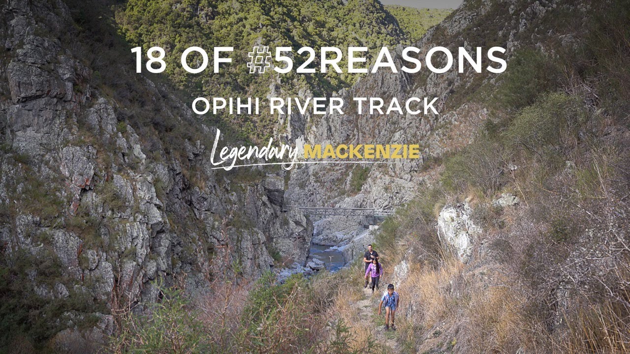 #18 – Opihi River Track - YouTube