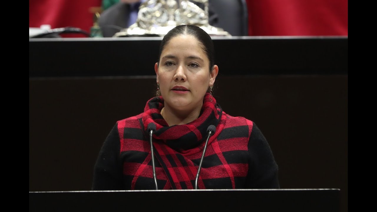 Dip. Jazmín Jaimes Albarrán (PRI) / Reserva al dictamen de la Ley ...