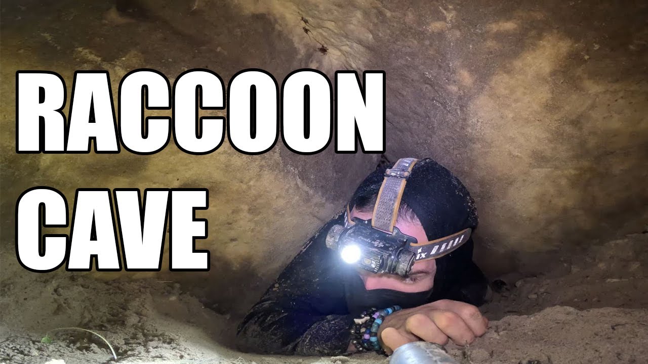 Raccoon Cave - My First Ever Squeeze Cave! - YouTube
