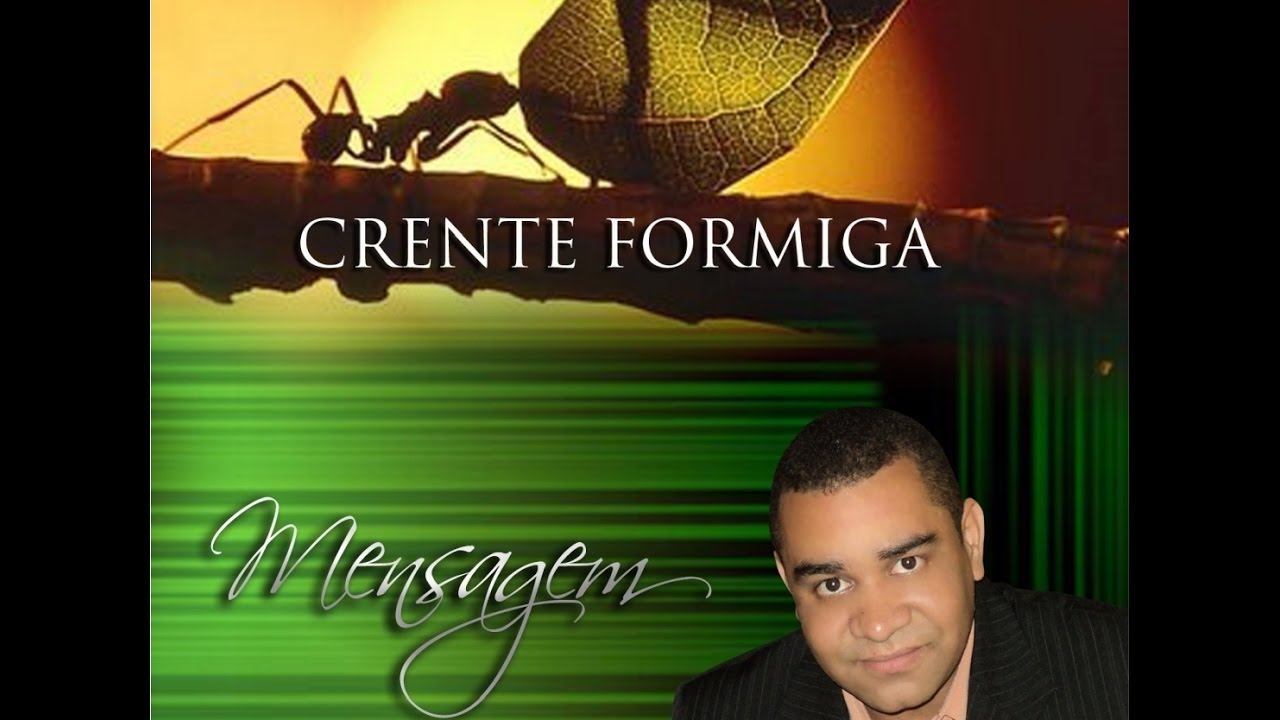 PREGAÇÃO CRENTE FORMIGA - REGINALDO LIMA - YouTube