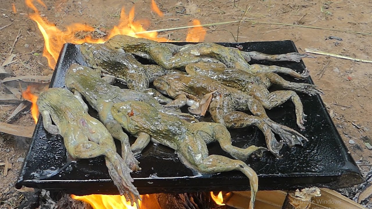 Primitive Technology: Yummy Cooking Frog on the Rock - YouTube