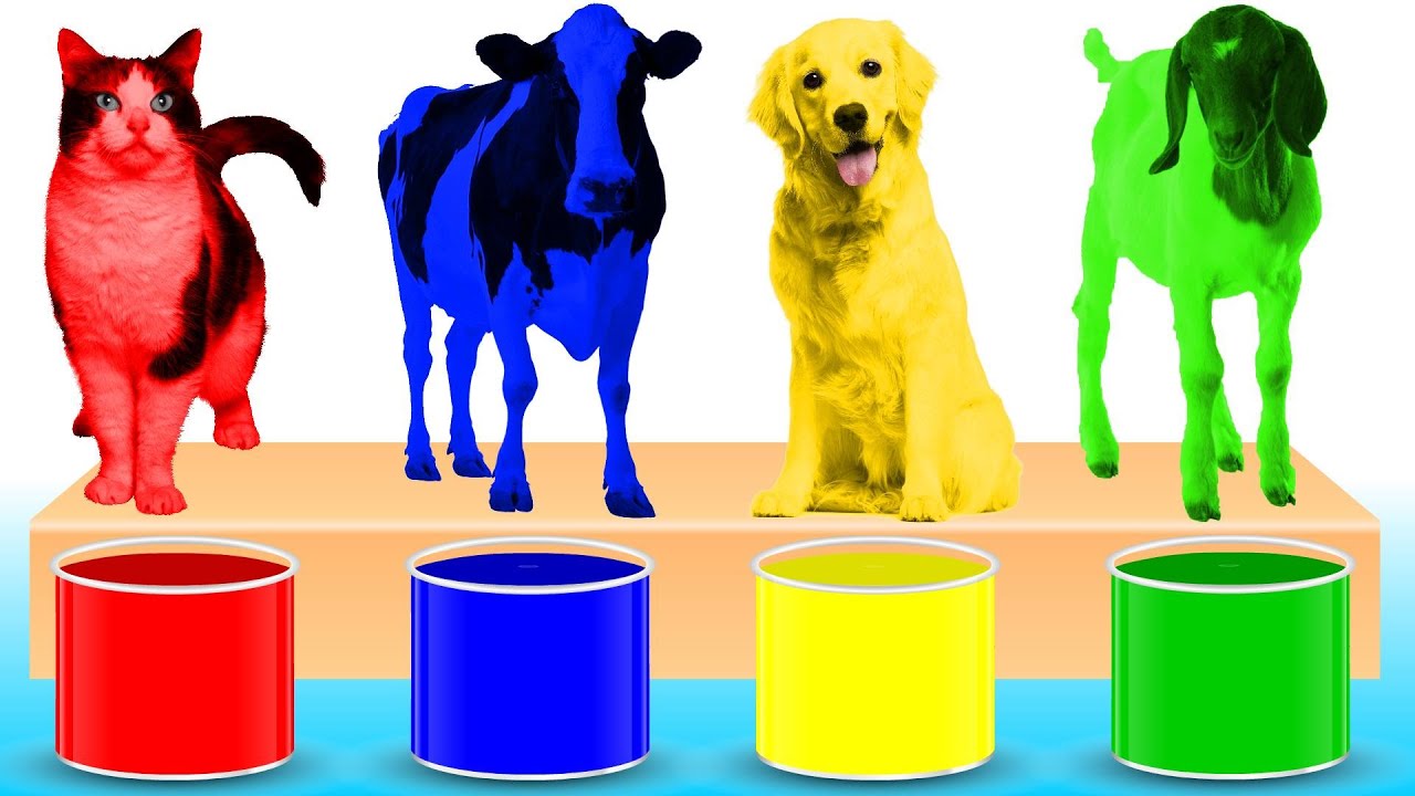 Learn Colors For Kids | Learning Colors with Animal Sounds| Colors For ...