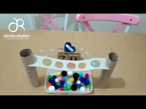 Akrida Okulları - İNGİLİZCE: Renkler