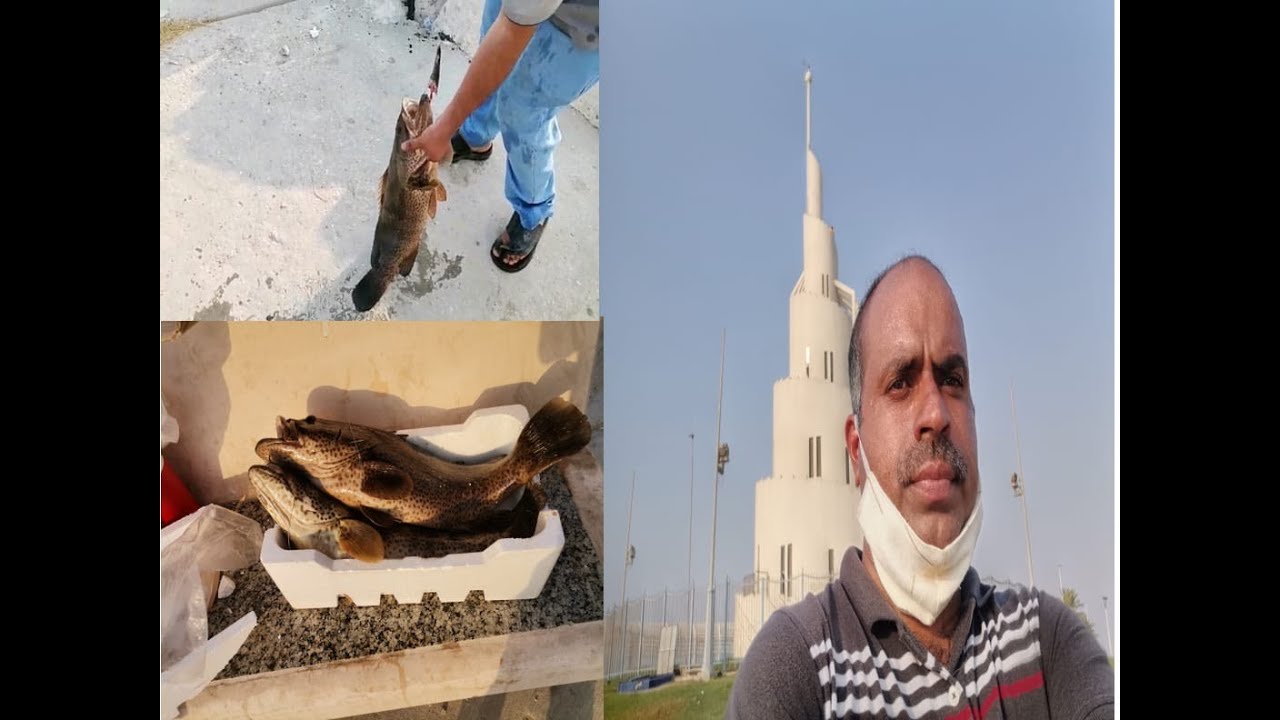 Holiday trip for Fishing - THE MURJAN ISLAND, Saudi Arabia. - YouTube