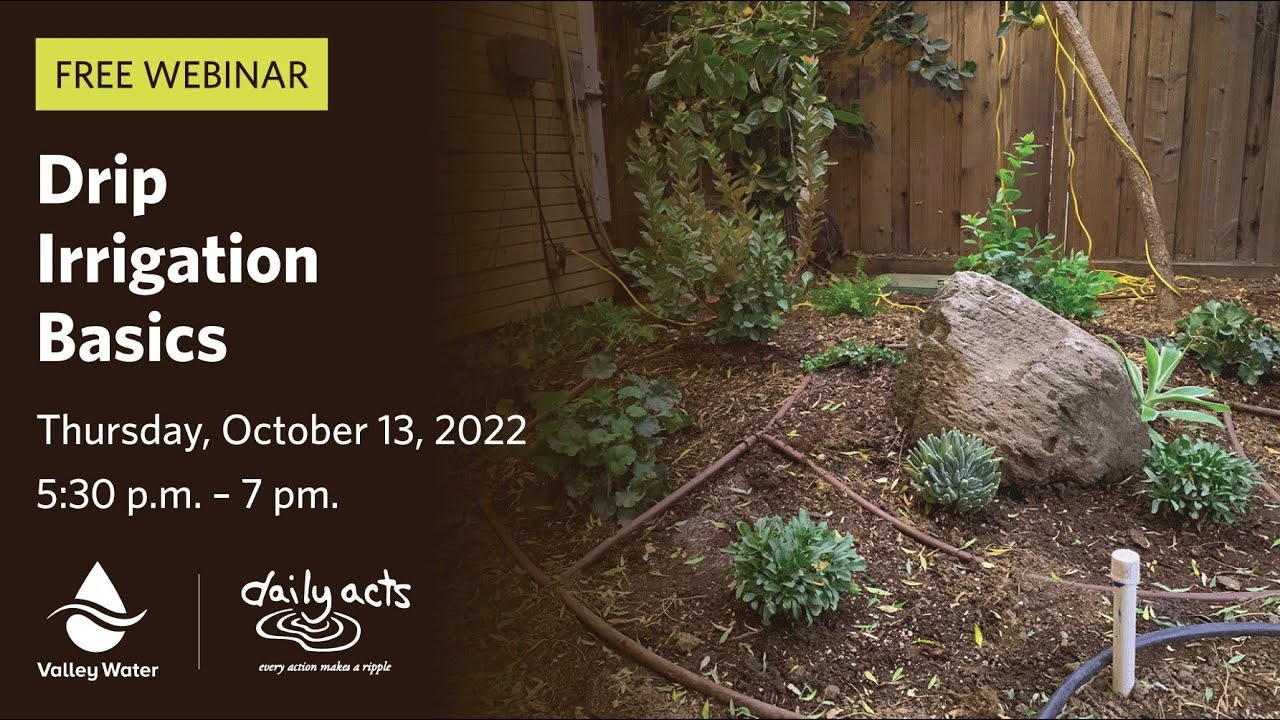 VW Webinar (English): Drip Irrigation Basics - YouTube