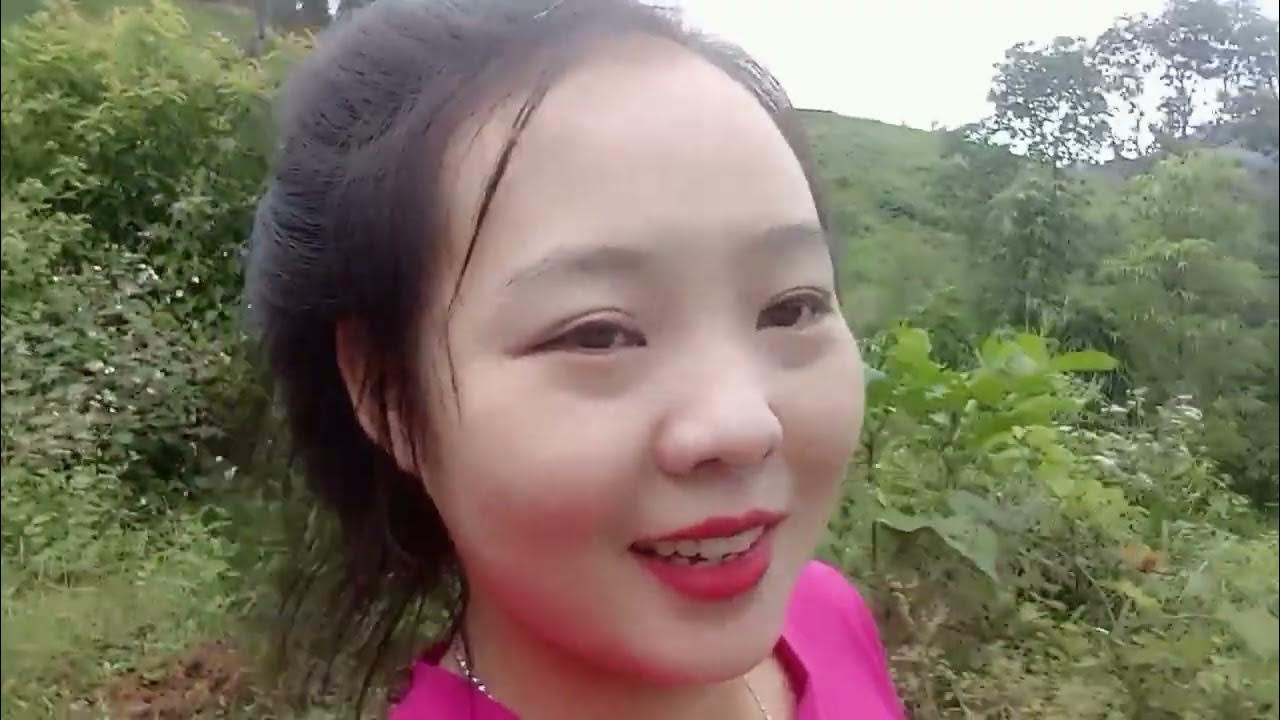 nyob zoo hnub no kuv mus de tshuaj pub nyuj - YouTube