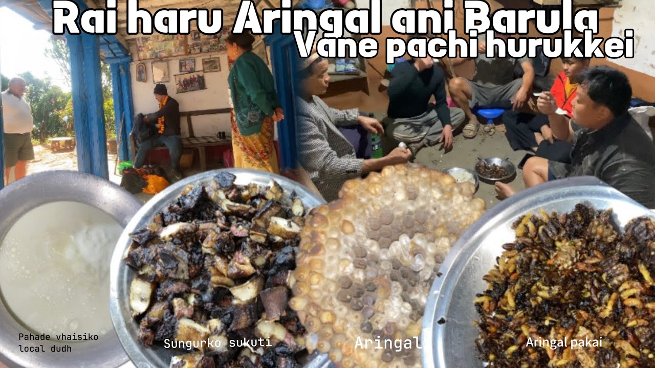 Kiratile kira khancha vandai, Raiharu Arigal ani Barula vane pachi ...