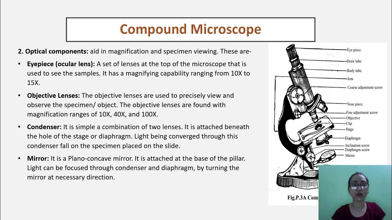 Microscopy lecture 2 | Compound Microscope | Parts and Working of ...