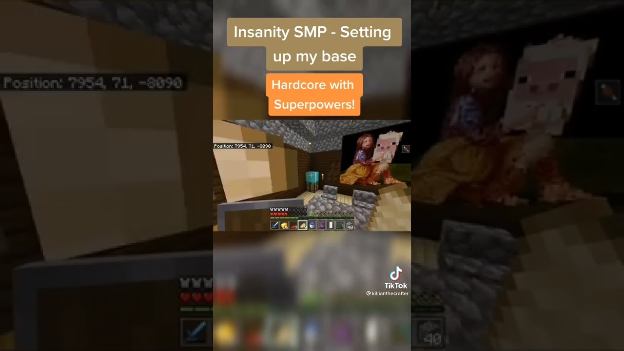 Insanity SMP🤓🤓 - YouTube