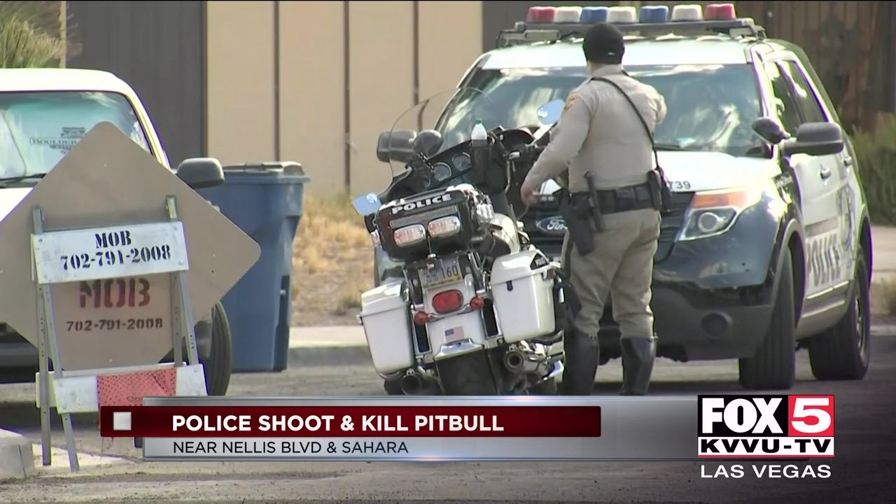 LVMPD officer shoots, kills dog - YouTube