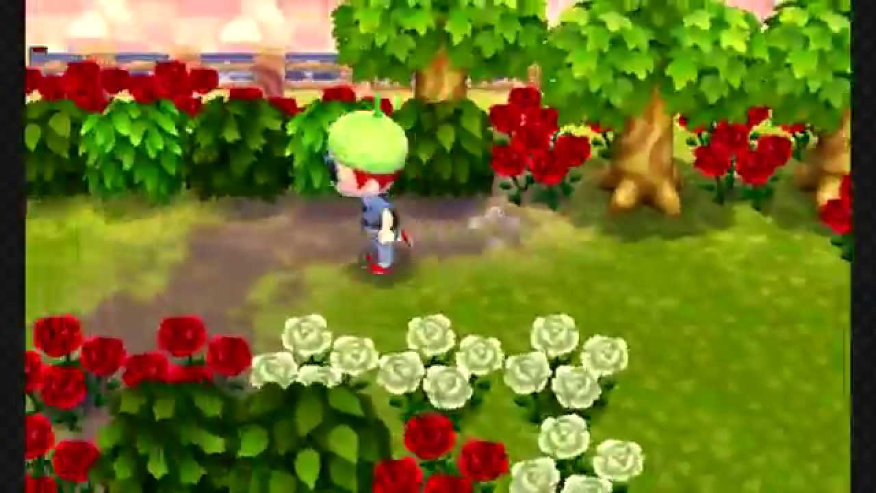 Animal Crossing: New Leaf - September and October - YouTube