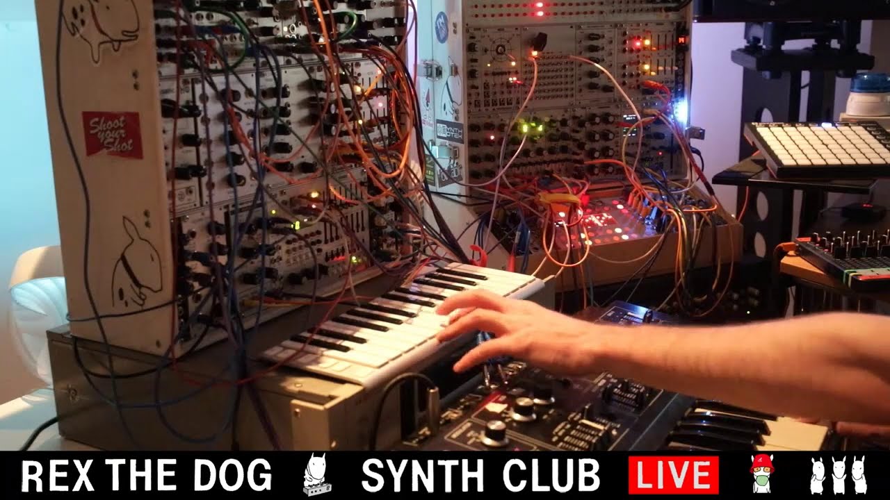 Rex The Dog Twitch Live Stream Highlights | #SynthClub 5 - YouTube