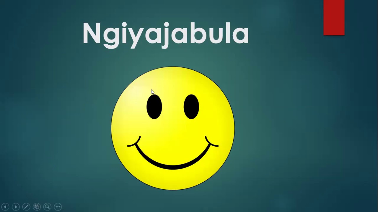 isiZulu lesson Grade 3 Imizwa - YouTube