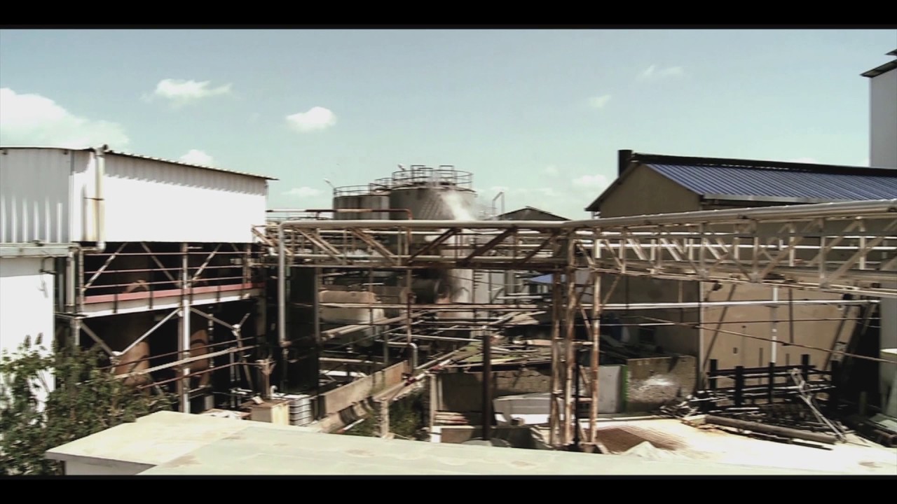 TEMOIGNAGE CLIENT CARTHAGE GRAINS - YouTube