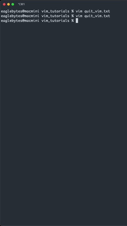 how to quit vim - 5 ways #vim #programming #coding - YouTube