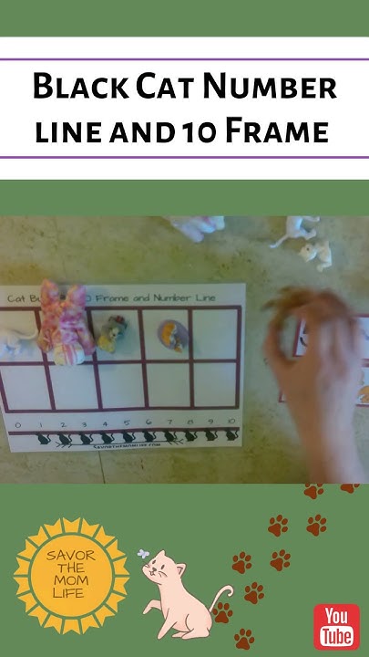 Black Cat Number Line and 10 Frame Counting Cats with Flashcards - YouTube