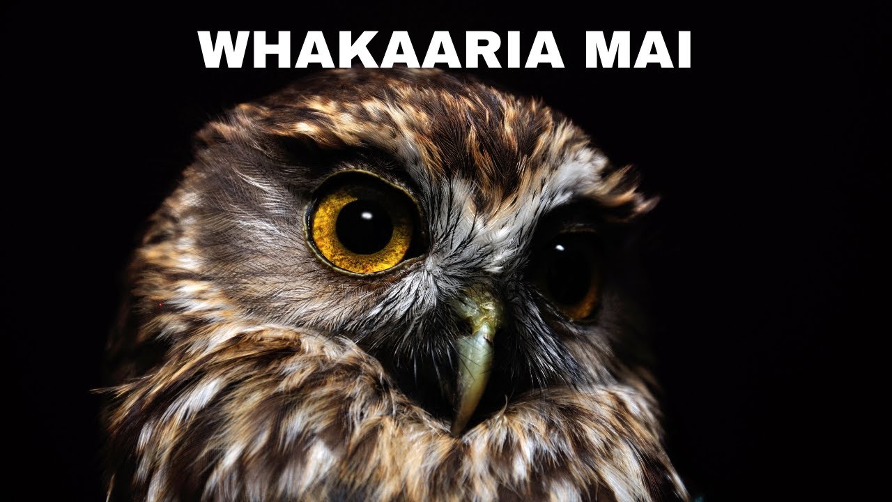 Whakaaria Mai | Reveal Your Cross | How Great Thou Art - YouTube