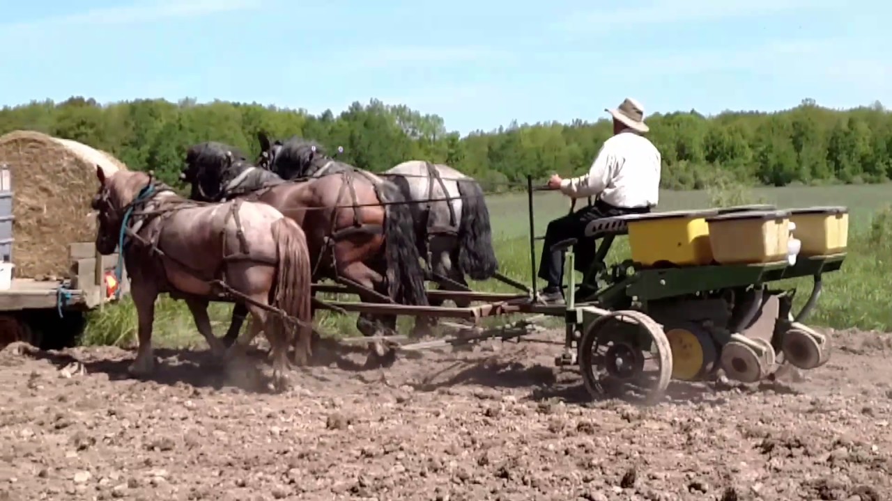 Compilation of 2017 corn planting. - YouTube