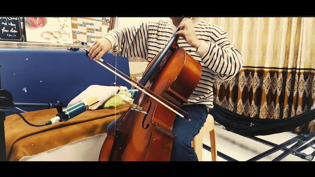 Schindler's List Theme 1993 - John Williams - Cello - YouTube