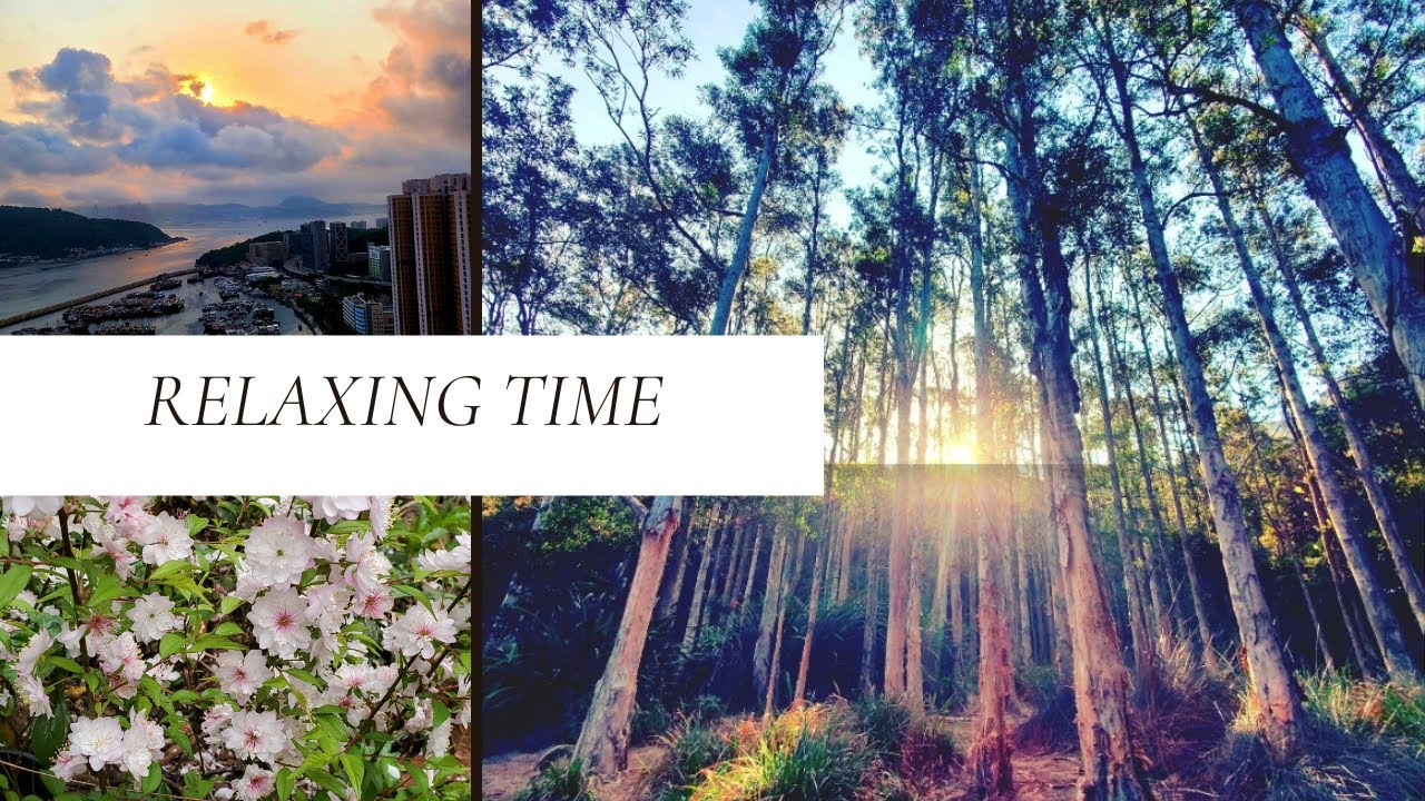 RELAXING FRIDAY | STRESS RELIEF | Enjoy and have fun... - YouTube