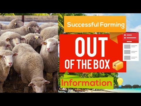 next level Sheep Farming - YouTube
