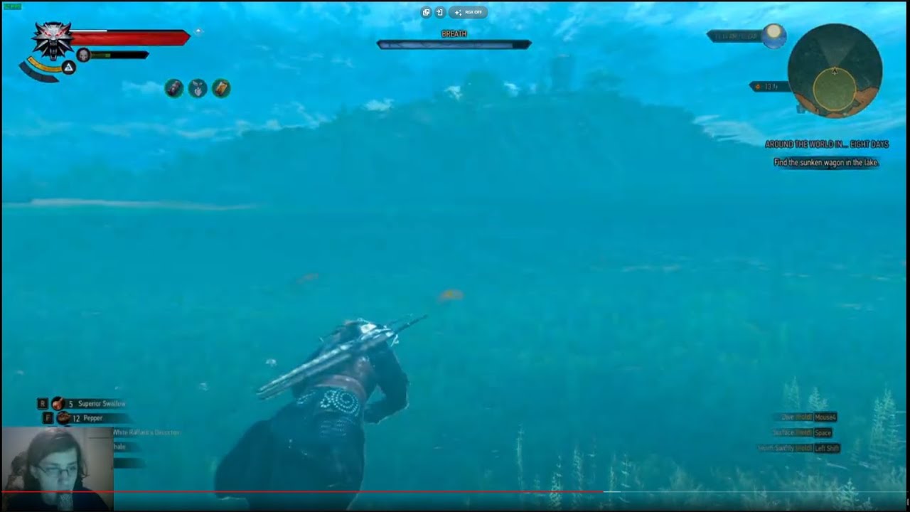The Witcher 3: Wild Hunt - Around The World In... Eight Days Objective - YouTube