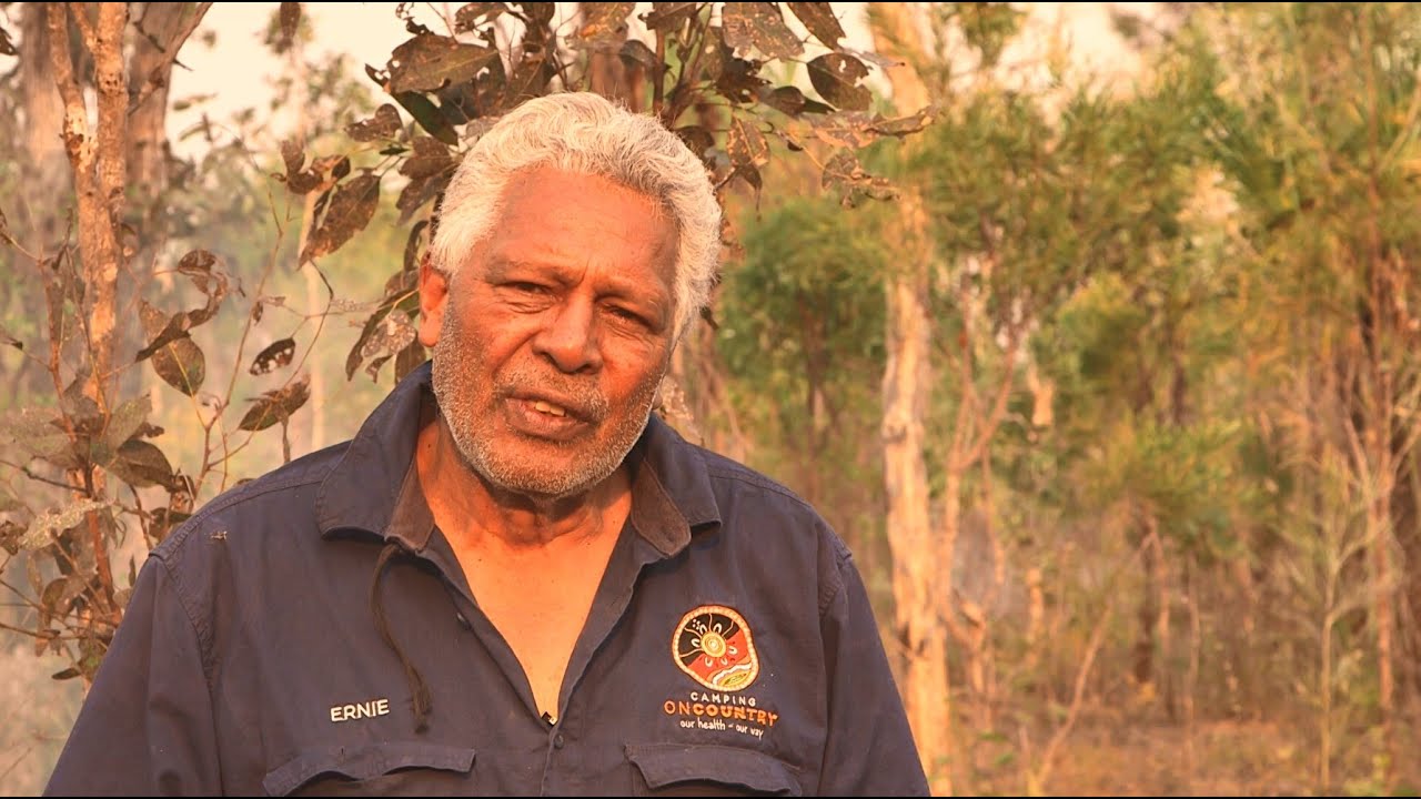 How the savanna fire management method benefits the environment and ...