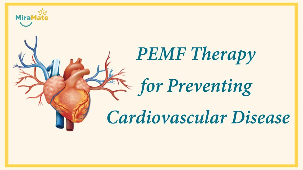 Pemf Therapy For Preventing Cardiovascular Disease Youtube