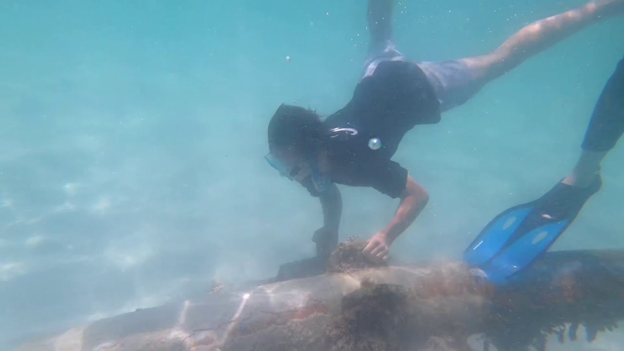 Omeo shipwreck dive trail - YouTube