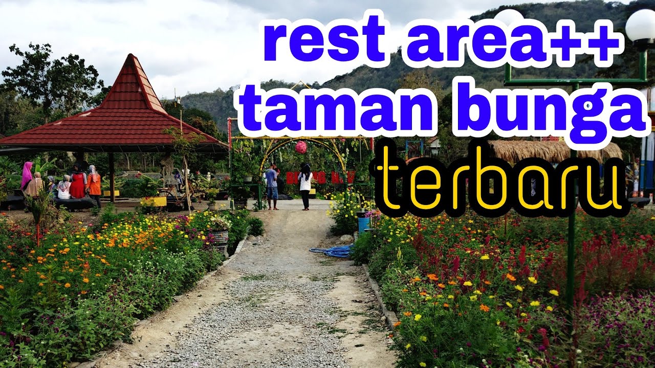 REST AREA VIRAL purwantoro ponorogo - YouTube