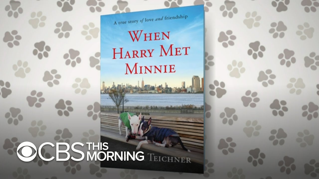 "CBS Sunday Morning" correspondent Martha Teichner on new memoir ...