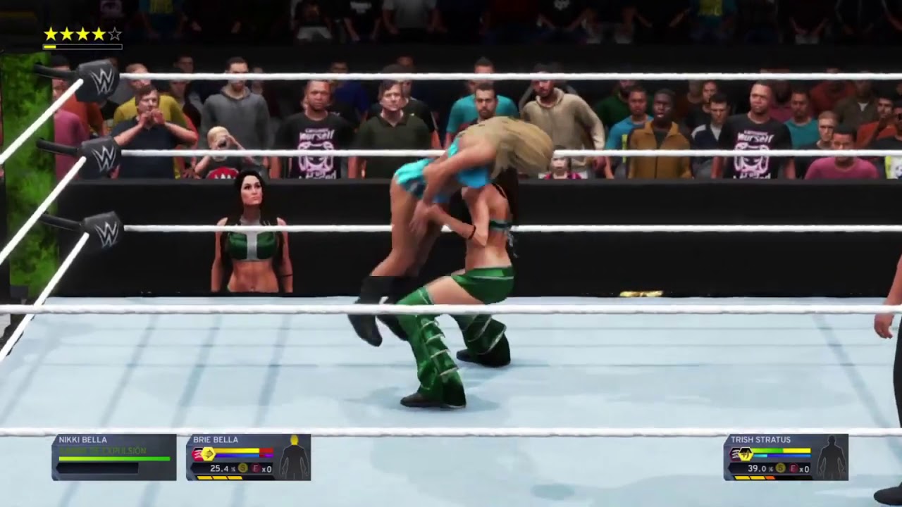 Money in the Bank: Brie Bella vs. Trish Stratus (Women's Champioship ...