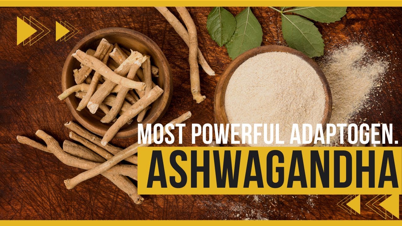 🔴ASHWAGANDHA| Most Powerful Adaptogen. - YouTube