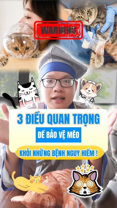 BẢO VỆ MÈO, LƯU Ý 3 ĐIỀU SAU ! #cat #viralvideo #pets #vuvgroup #petlover #mèo #baovedongvat ...