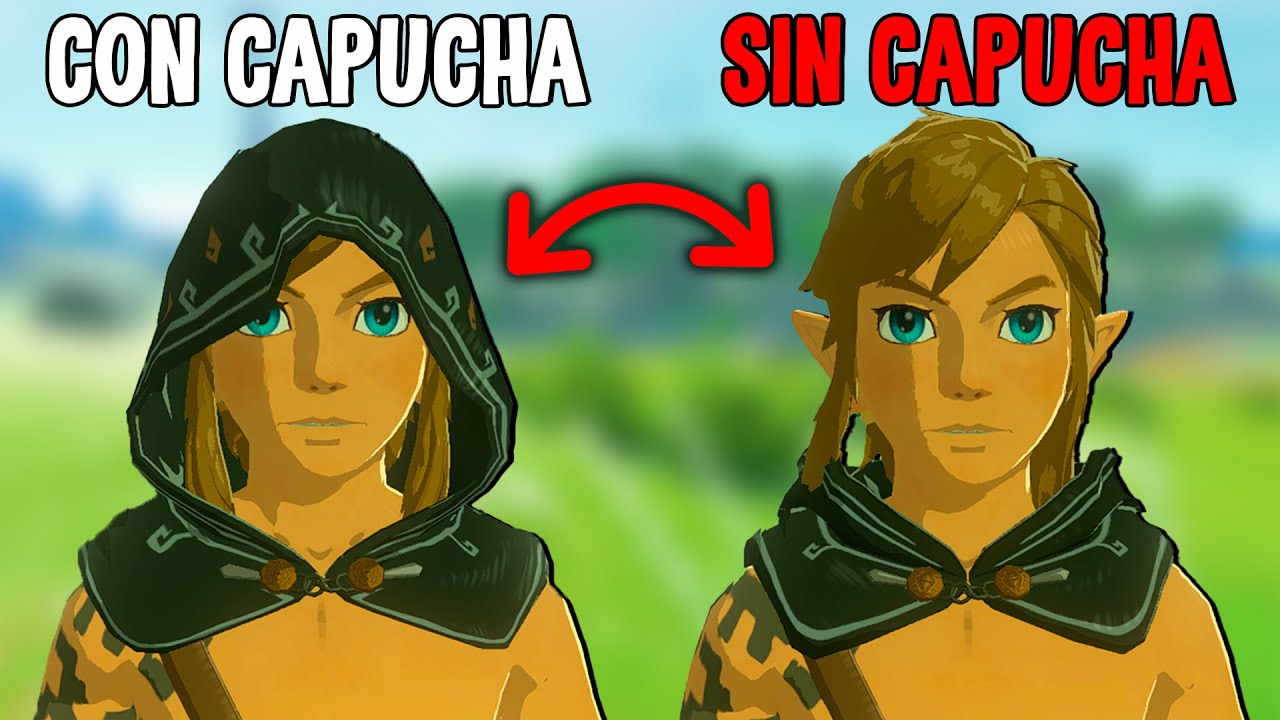 Como poner y quitar la capucha hyliana a Link en Zelda Tears of the ...