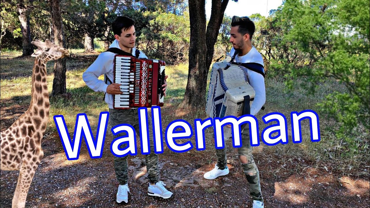 Nathan Evans | WALLERMAN | Cover fisarmonica - YouTube