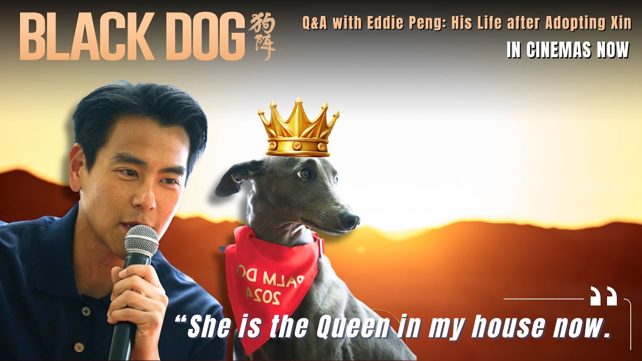 BLACK DOG Q&A with Eddie Peng: "Xin is the Queen in my house now ...