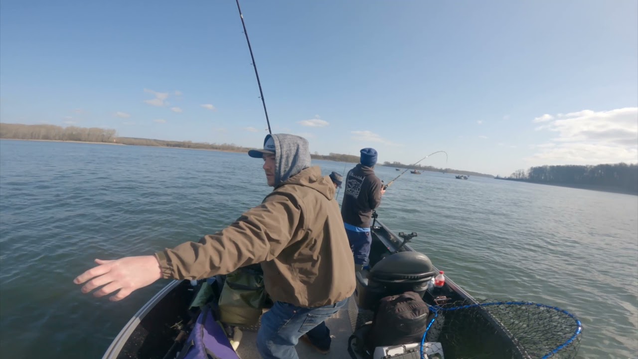 Columbia River Springer Fishing | Limited out | 3-29-21 - YouTube