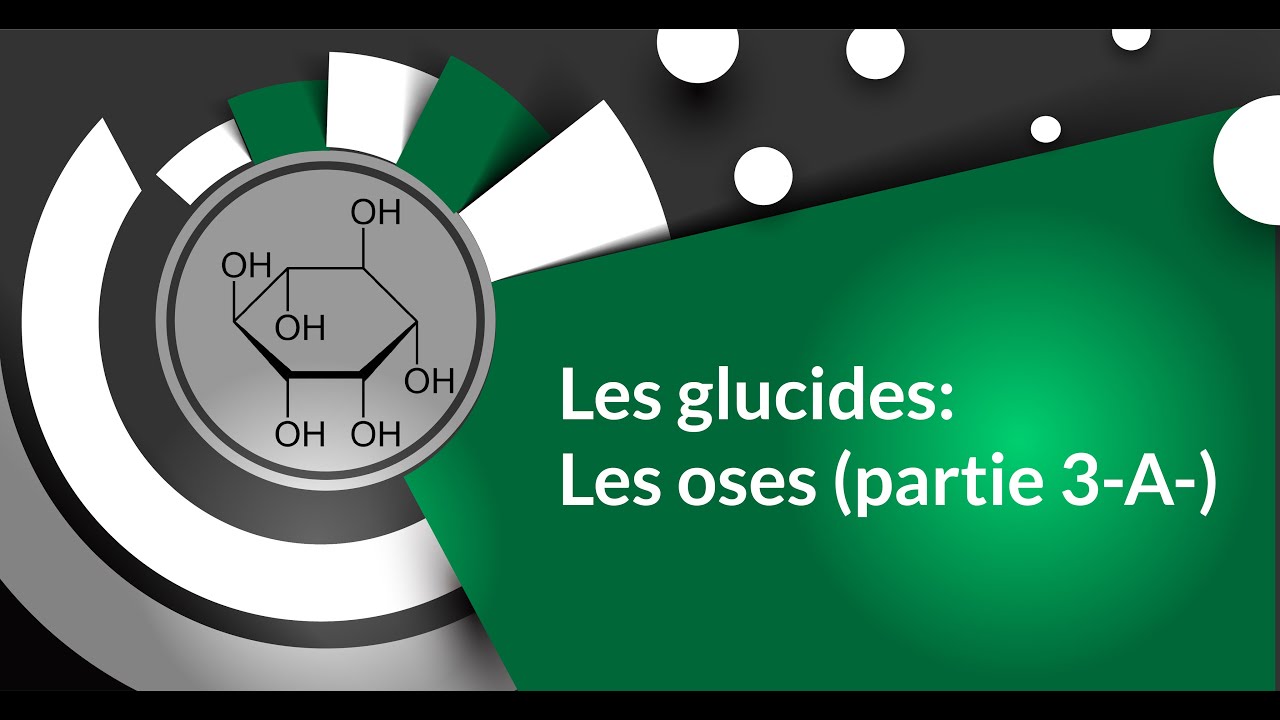 Les glucides: Les oses (partie 3-A) - YouTube