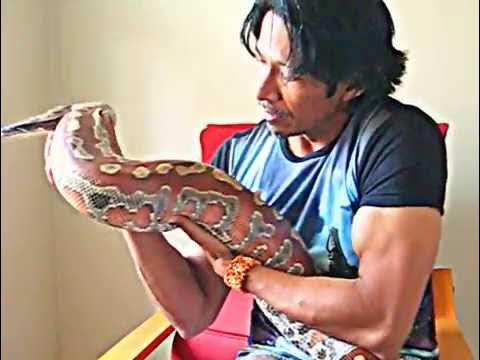 Big BLOOD PYTHON Update: June 2014 - YouTube