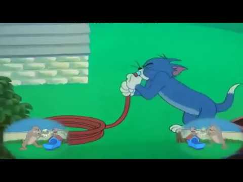 Tom and Jerry Remix - OMFG Pancakes NCS