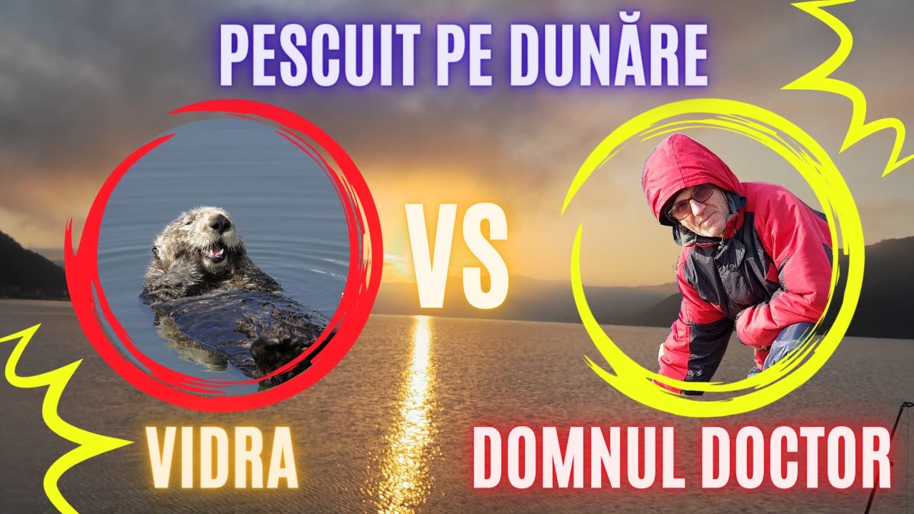 PESCUIT PE DUNARE CU DOMNUL DOCTOR SI VIDRA - YouTube