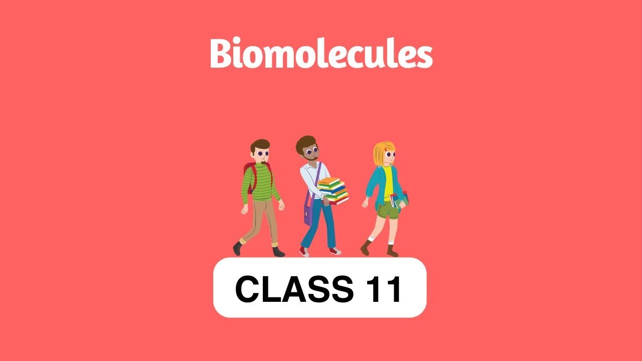 Class 11 Science_Biology - Biomolecules | Talentina | Cartoon | 2d ...