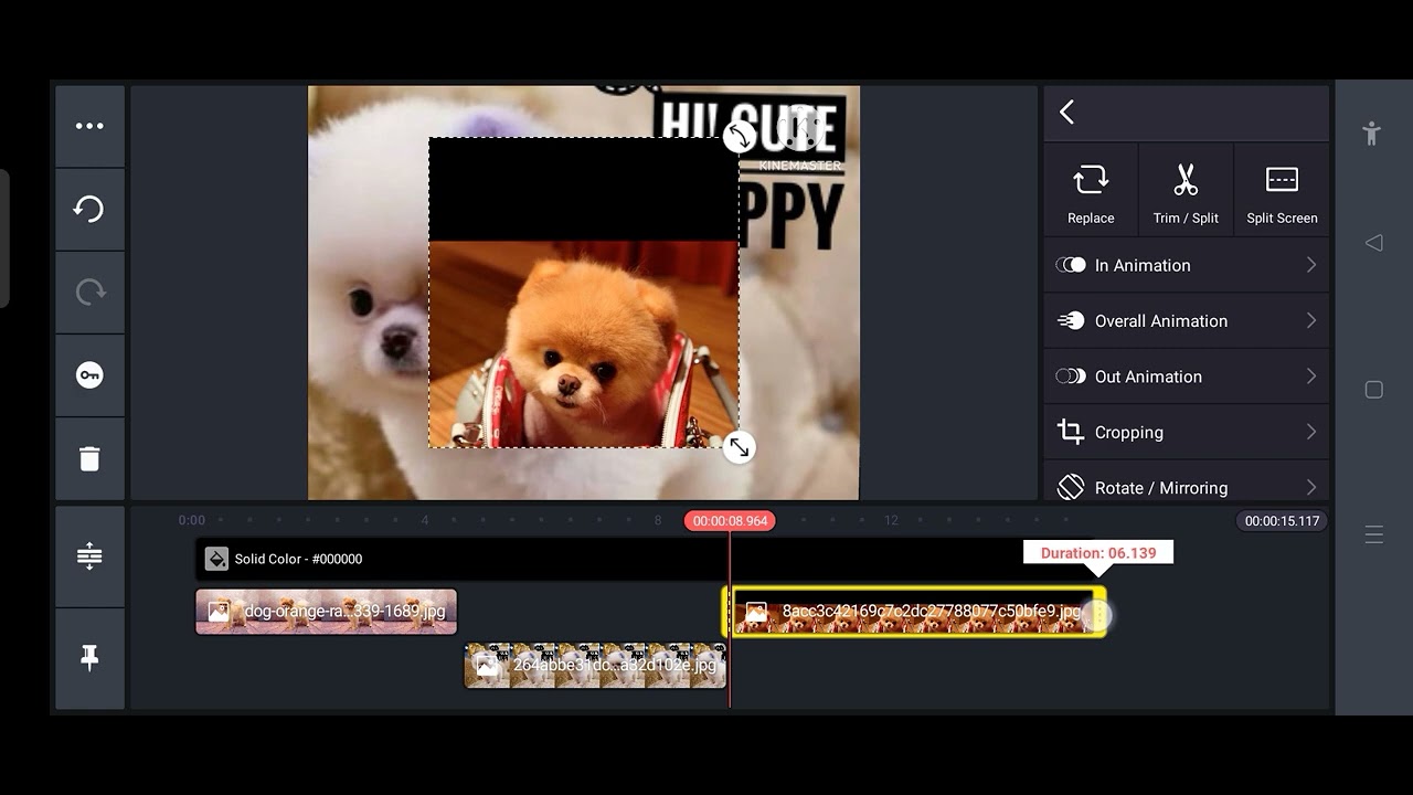 create a puppy - YouTube