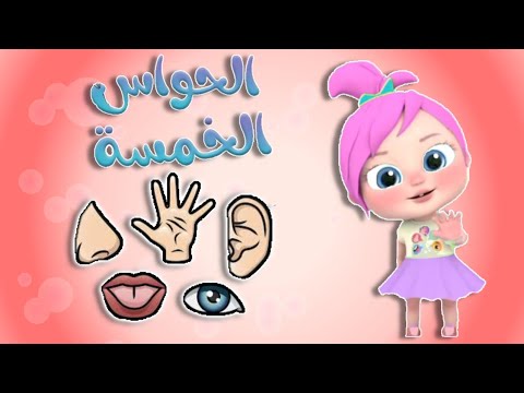 الحواس الخمسة | أغاني اطفال | قناة وناسة بو _ Wanasa boo - YouTube