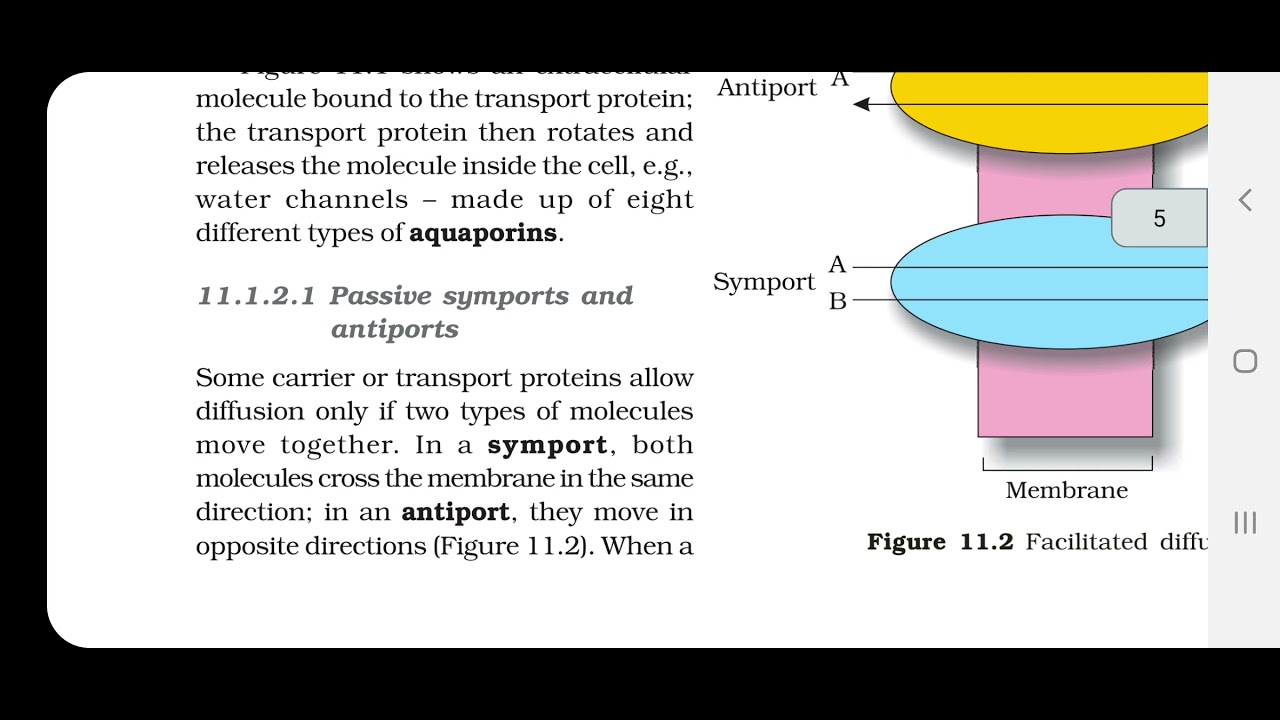 TRANSPORT IN PLANTS//PART=04//PASSIVE SYMPORT,ANTIPORT,AND UNIPORT ...
