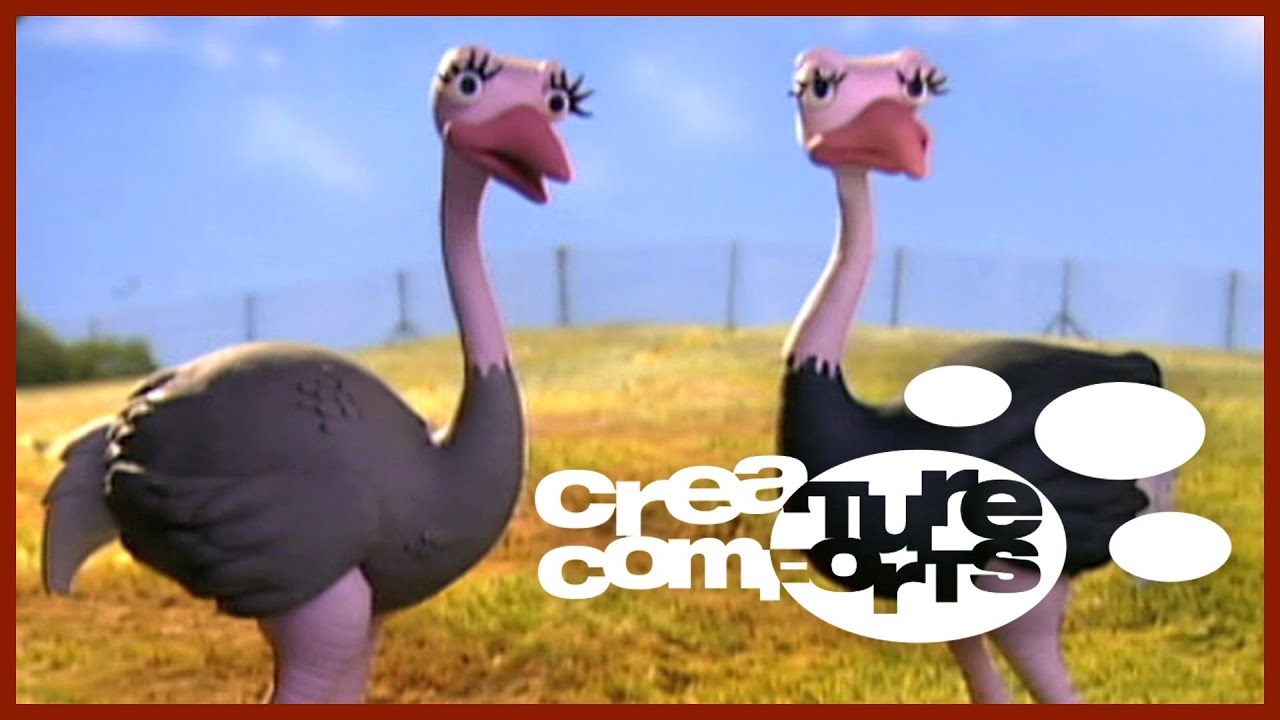 Daily Routines | Creature Comforts - YouTube