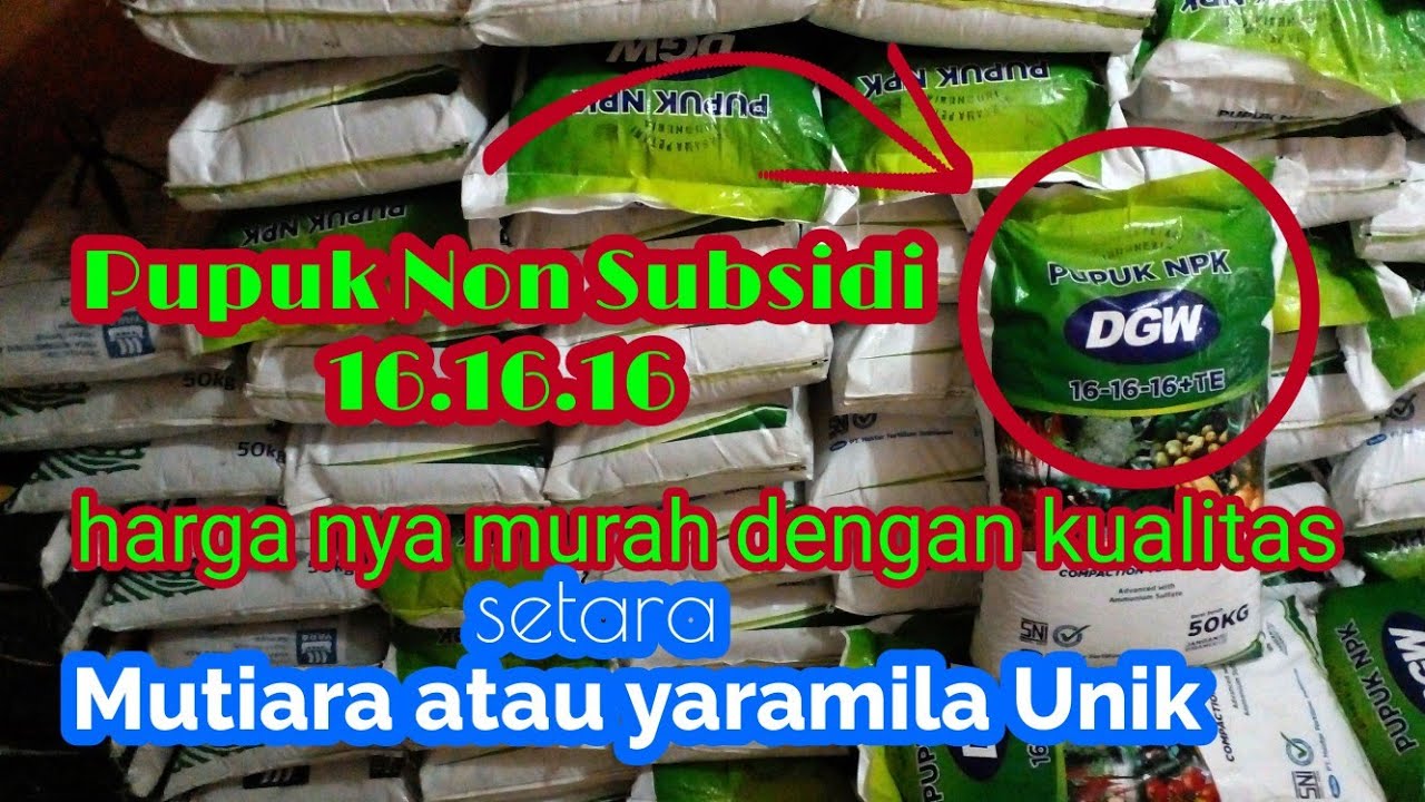 Pupuk non Subsidi Murah|Npk Dgw 16.16.16 - YouTube